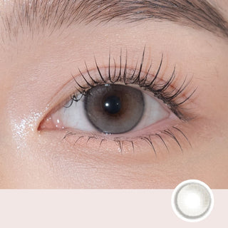 Collections – EyeMuse