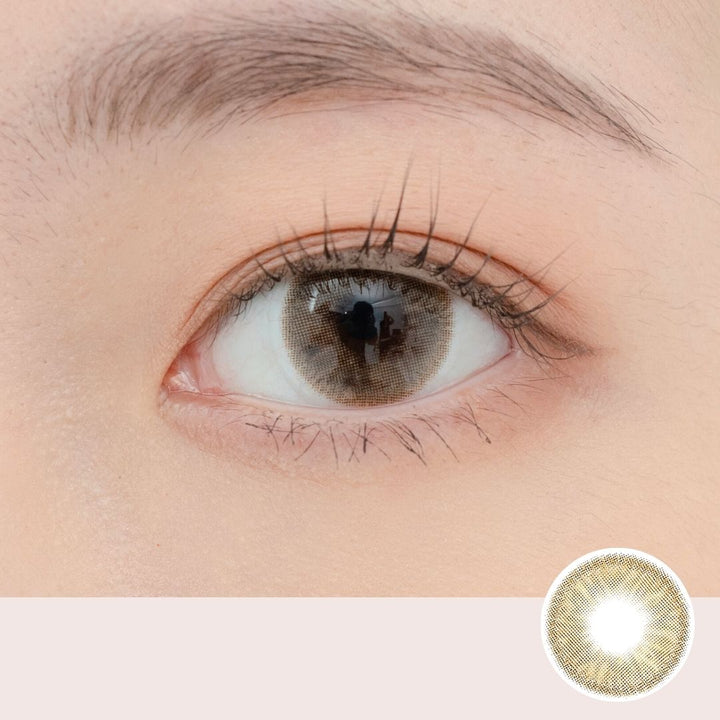 Collections – EyeMuse