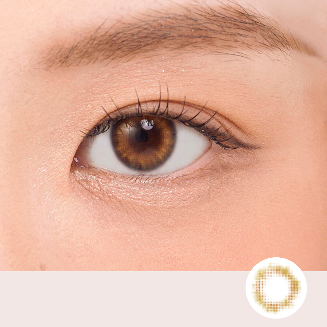 Xena Brown 1Day | Silicone Hydrogel Daily Lens – EyeMuse