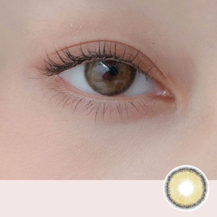 Collections – EyeMuse